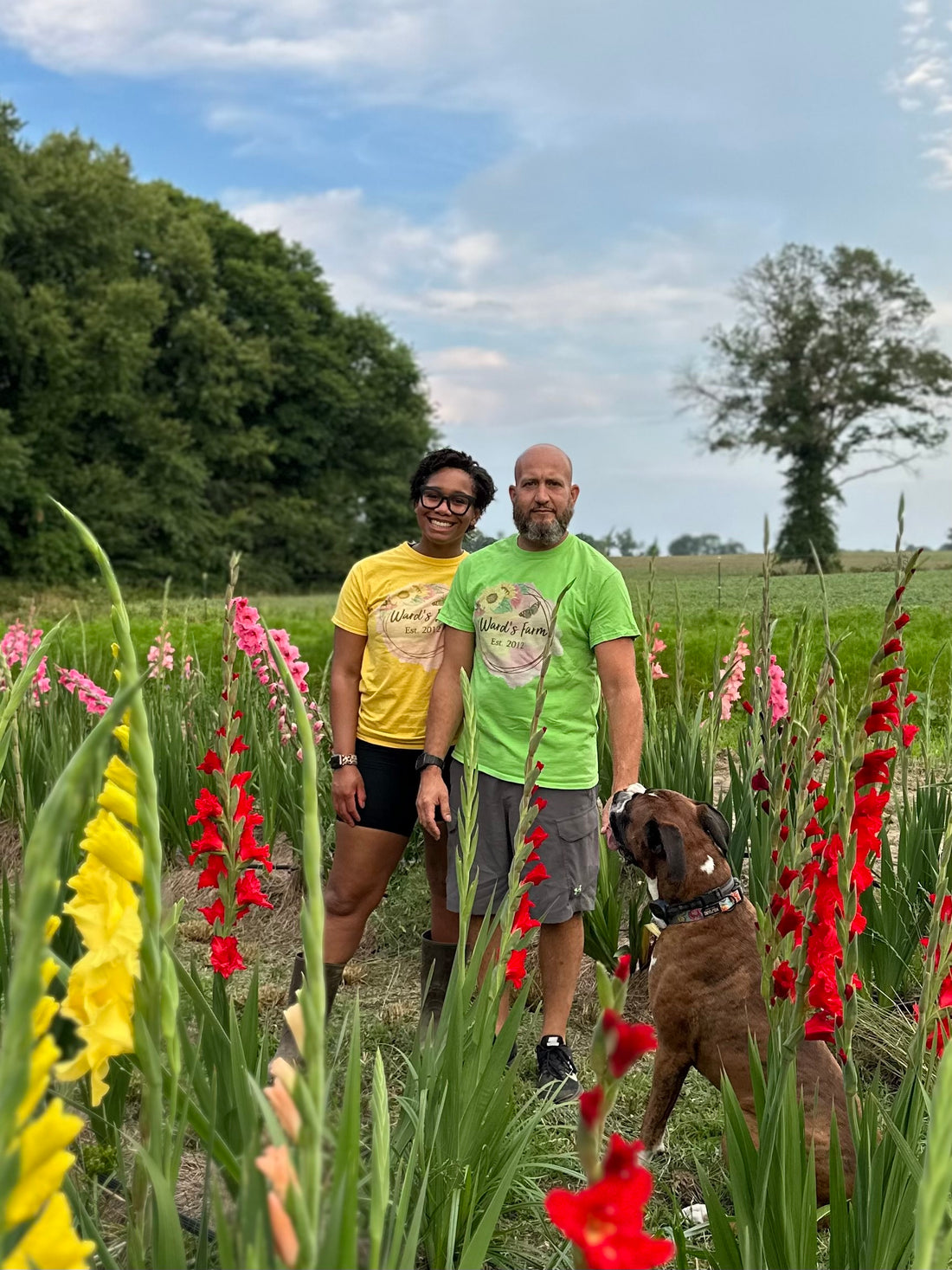 Ward's Farm NJ