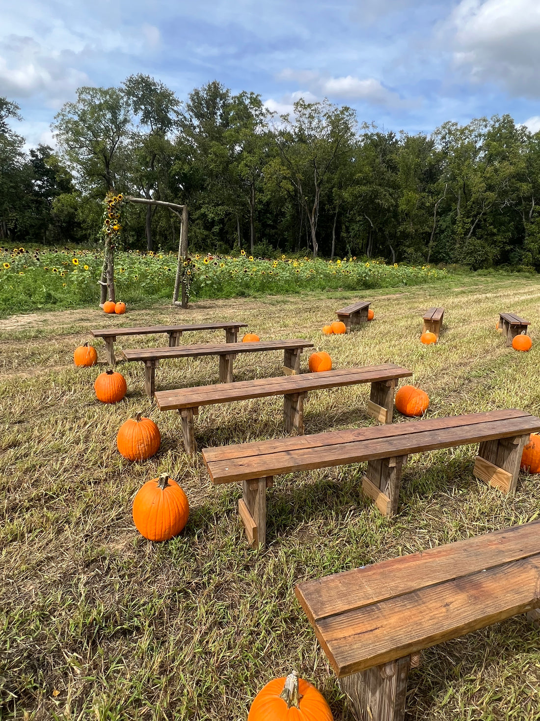 Farm Weddings – Ward's Farm