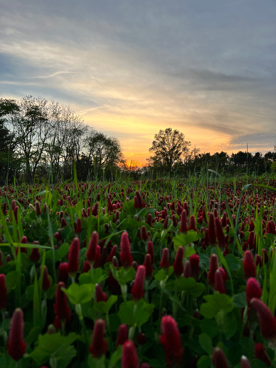 Products – Ward's Farm